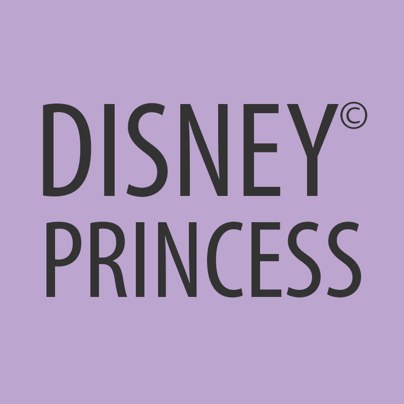 Disney Princess -Sets in Stock – Creative Brick Builders